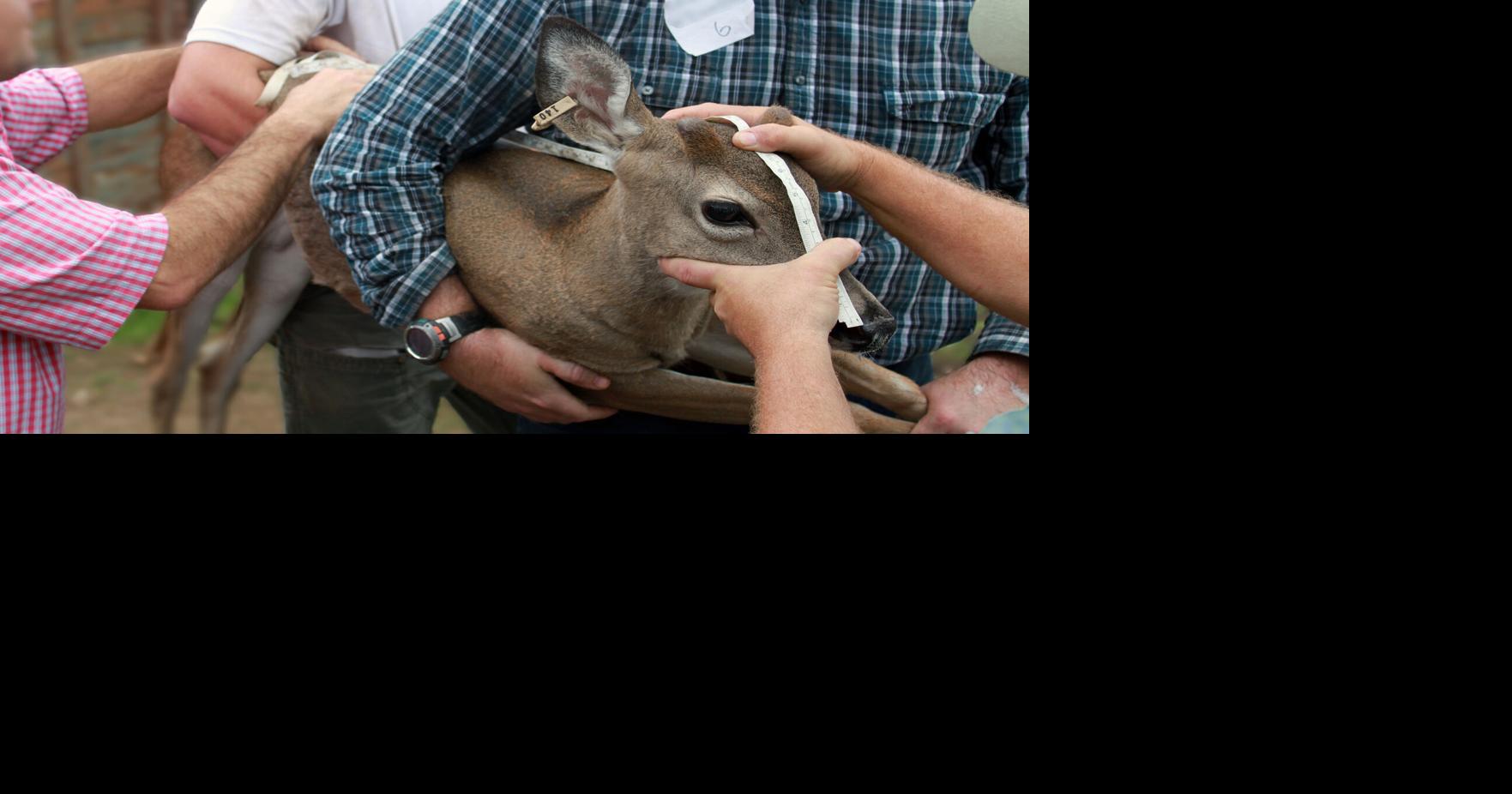 Kerr WMA: Wildlife officials respond to questions about CWD detection ...