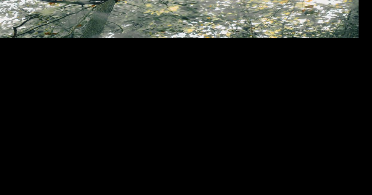 For Safety’s Sake | Sports | dailysentinel.com