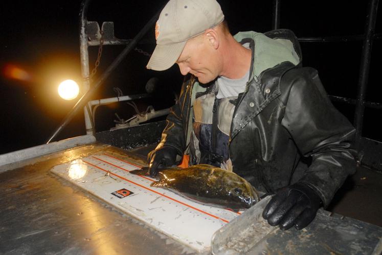 Shocking up results: A look at electrofishing and other survey ...