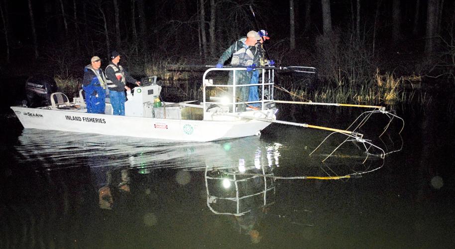 Show Me the Money | Sports | dailysentinel.com