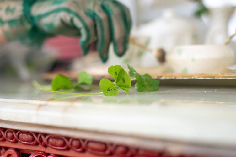 Nacogdoches woman finds more than 400 clovers this year | Local News ...