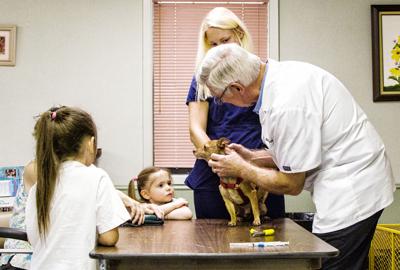 Humane Society announces new hours, change | Local News | dailysentinel.com