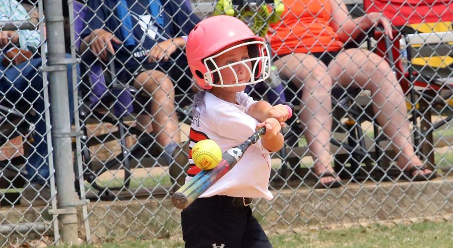 Nac 8U Attitude takes third at State | Social Media | dailysentinel.com