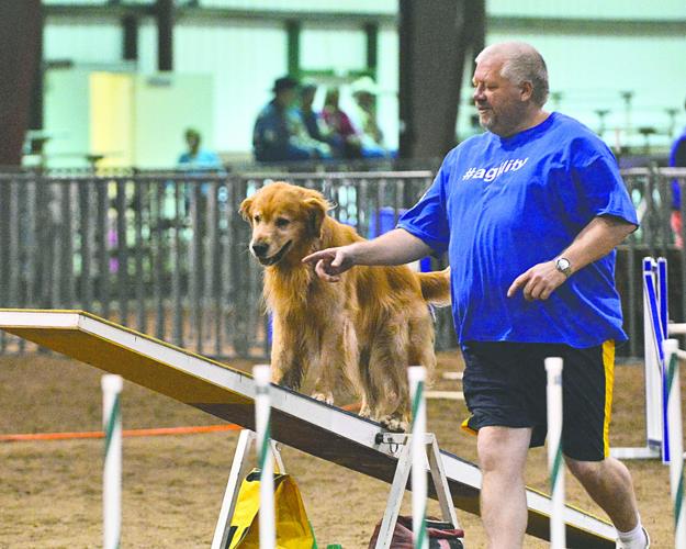 AKC show held at Hill Country Youth Event Center | News | dailytimes.com