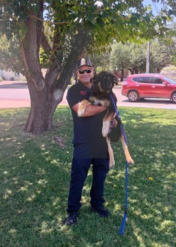 Making a difference, one dog at a time: Brothers bring German shepherd ...