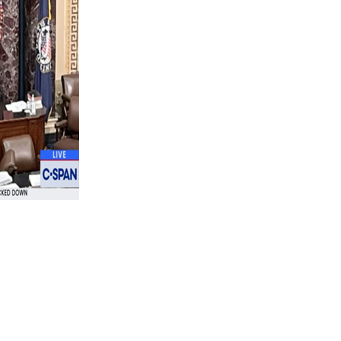 Photo released of protestor in presiding officer's chair in Senate ...