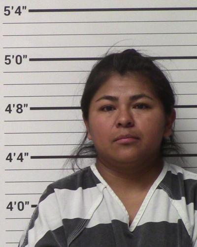 Man accused of four felonies, smuggling foreigners | News | dailytimes.com