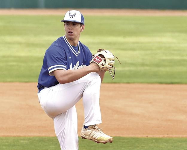 TIVY BASEBALL REWIND: A tale of two seasons for the Antlers | Sports ...