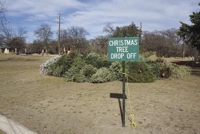 City offers free Christmas tree recycling services | Local News ...