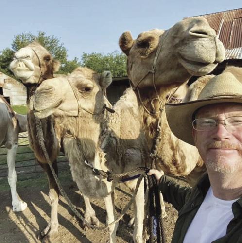 Camels pack extra entertainment into Texas Arts and Crafts Fair ...