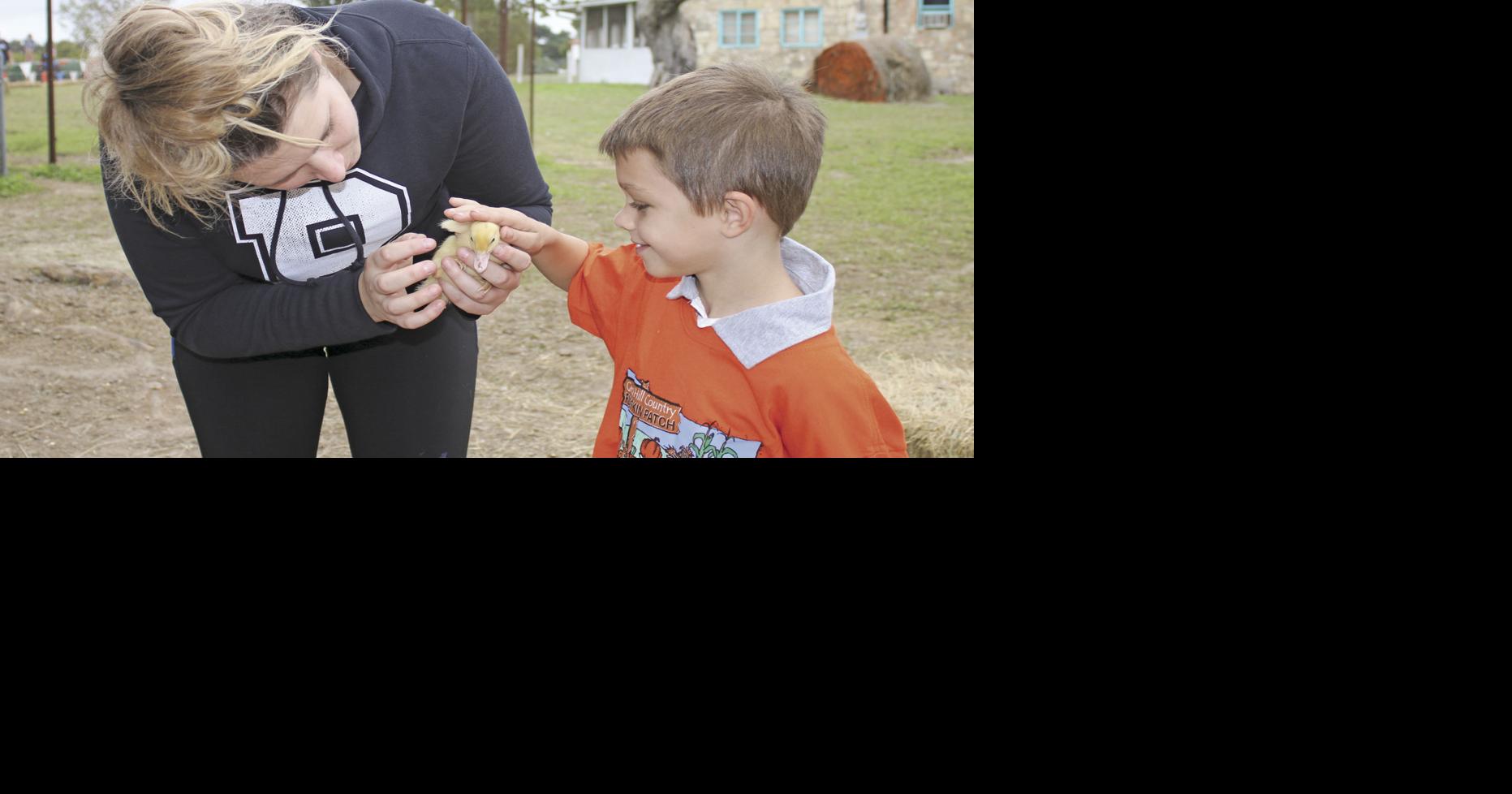 Head to Medina for family fun | Promotions | dailytimes.com