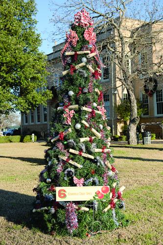 Holiday tree vote continues at courthouse | News | dailytimes.com