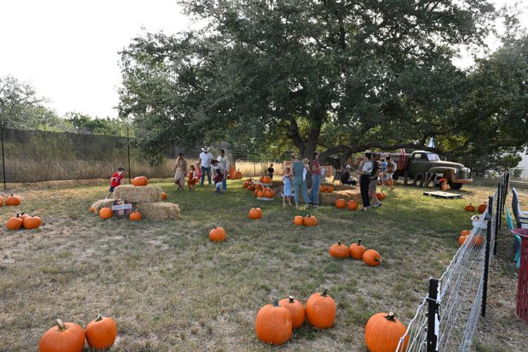 Pumpkin Patch of Positivity: Kerr Kids and Lions Club bring free family ...