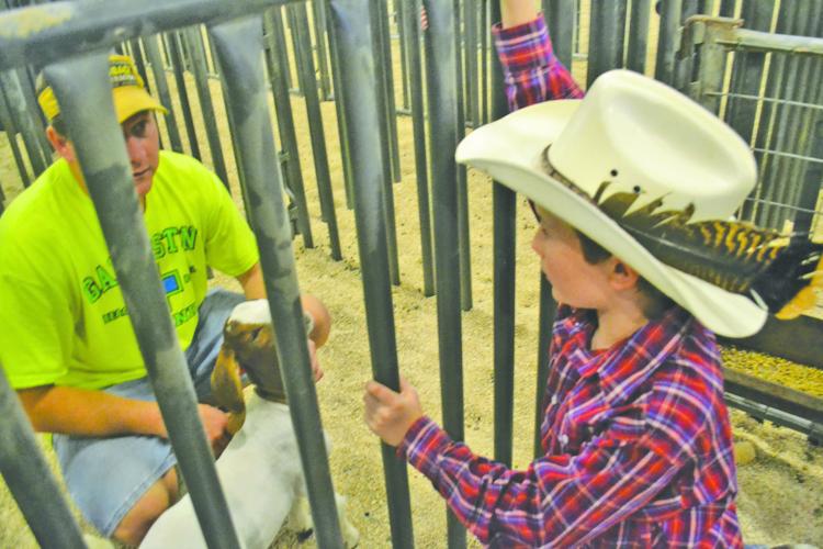 Finding a winner | Events | dailytimes.com