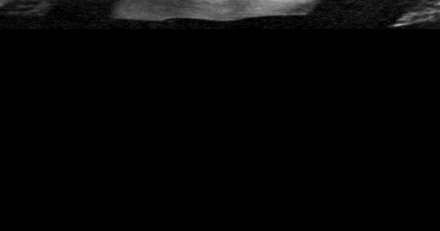 Connie Beth Harris | Obituaries | dailytimes.com