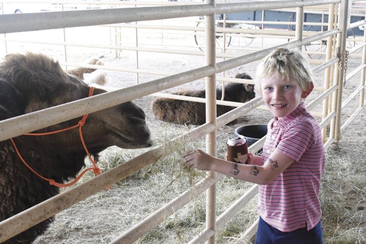 YO Ranch celebrates new ownership with auction and concert | News ...