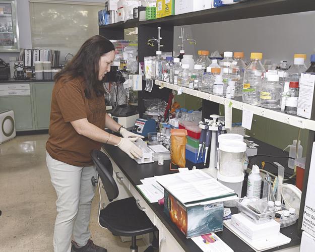 USDA lab in Kerrville moving closer toward major renovation project ...