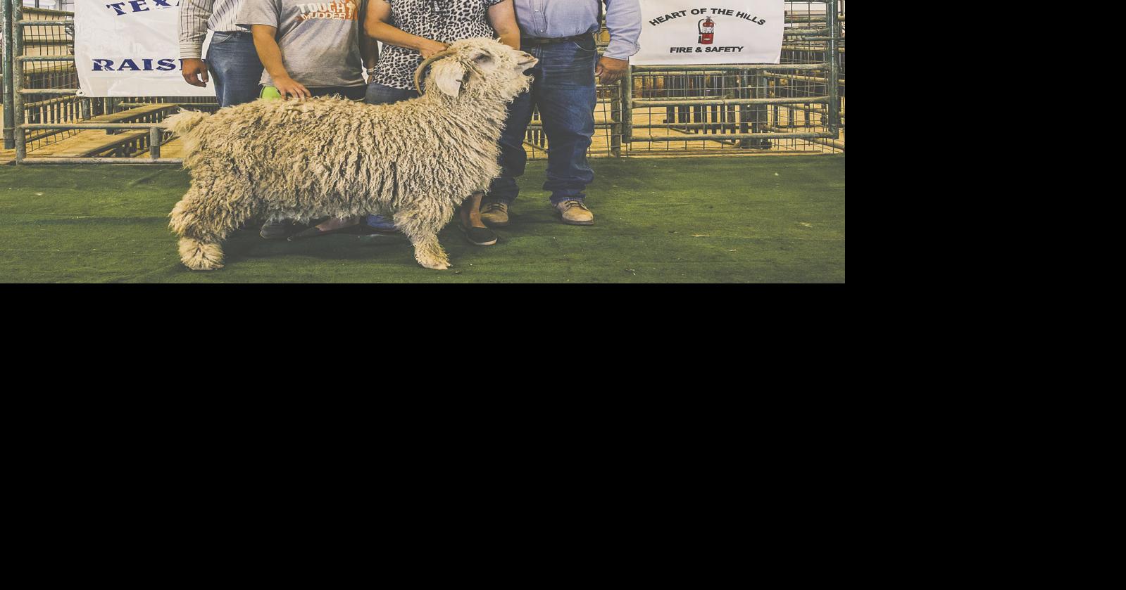 Angora goat show announces winners | Promotions | dailytimes.com
