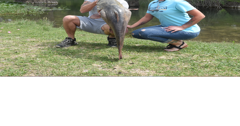 40-pound fish caught in West Kerr | | dailytimes.com