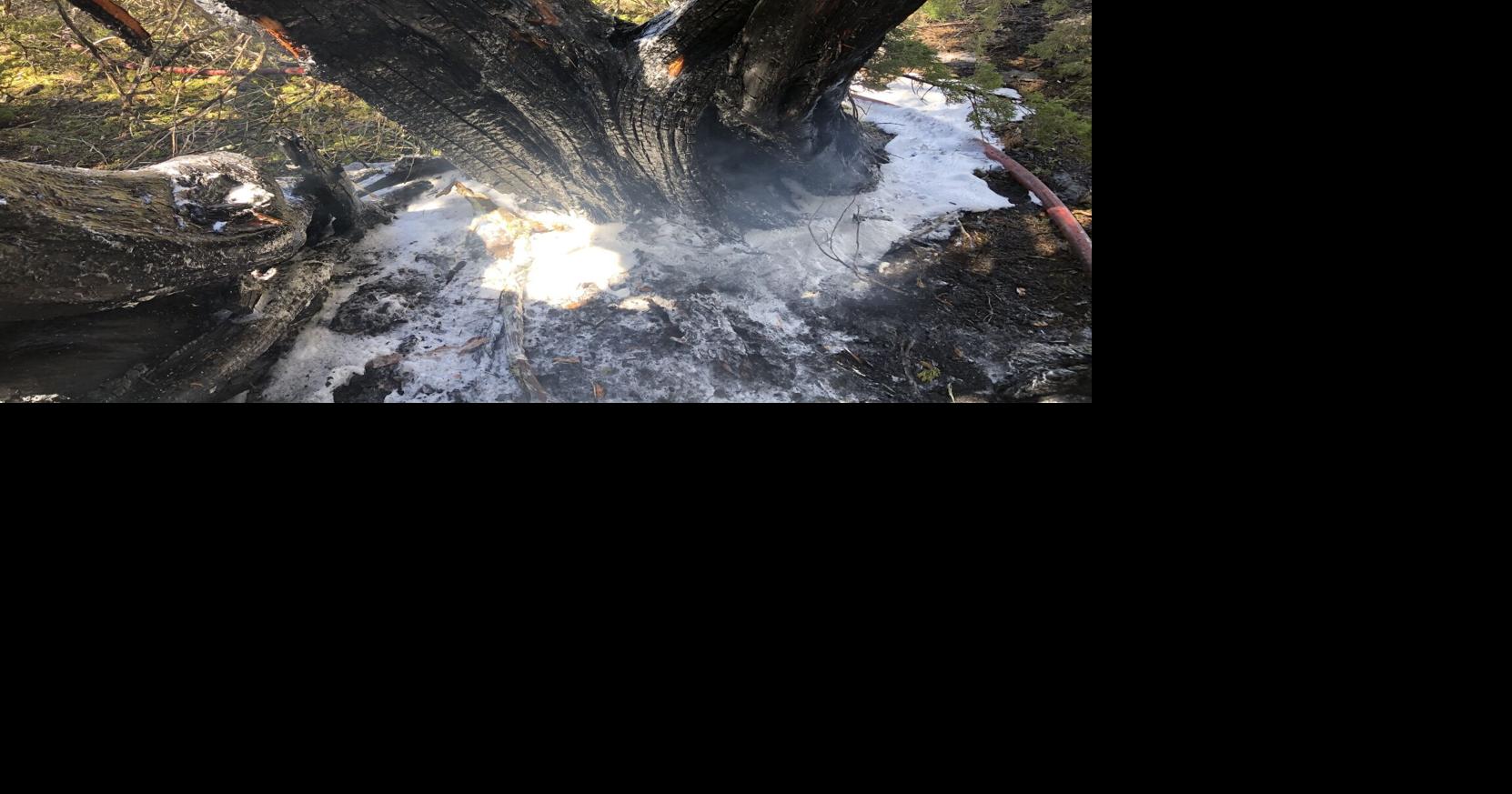 Firefighters Battle Brush Fire Promotions