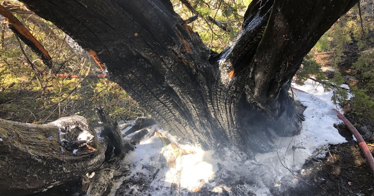 Firefighters Battle Brush Fire Promotions