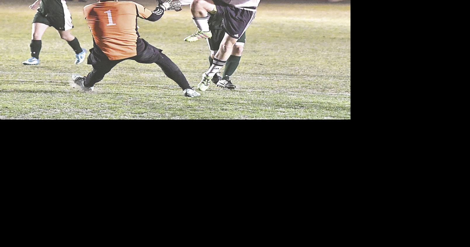 OLH drops in four goals, Lady Hawks grounded by champs | Promotions ...