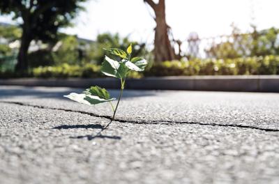 5 things to help you grow through adversity | Columnists | dailytimes.com