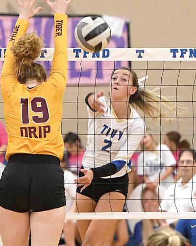 Ally Scheidle hits milestone on Senior Night | Sports | dailytimes.com