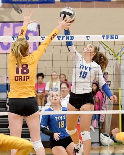 Ally Scheidle hits milestone on Senior Night | Sports | dailytimes.com