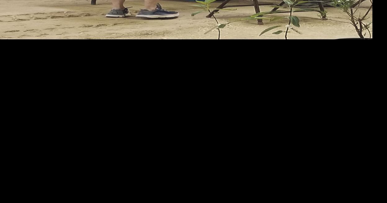 Apache Tree Corp. donates trees to Texas Master Naturalist Chapter ...