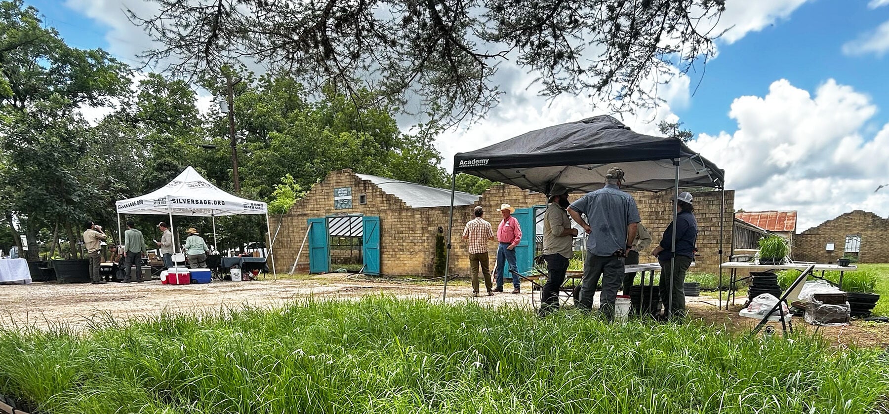 HCA, Mosty Brothers distribute 7,000 native plants to support river ...