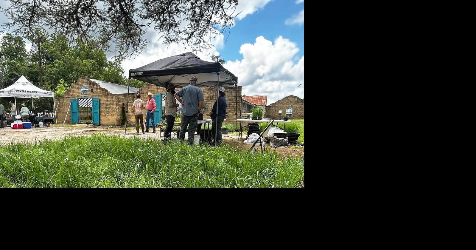 HCA, Mosty Brothers distribute 7,000 native plants to support river ...
