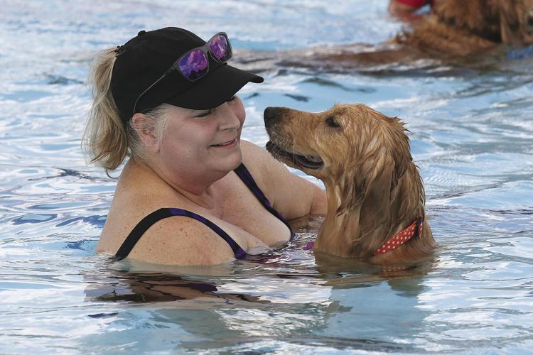 Kids Triathlon, Wet ’N’ Wag set for Saturday | Events | dailytimes.com