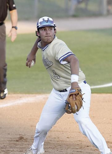 TIVY BASEBALL REWIND: A tale of two seasons for the Antlers | Sports ...