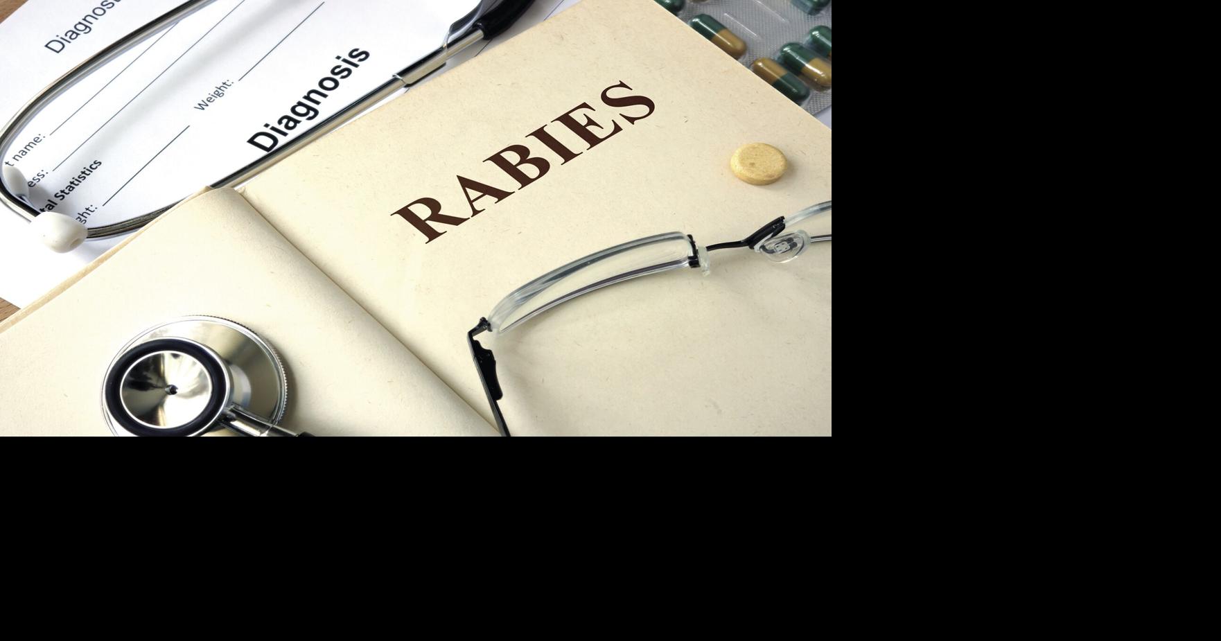 Skunk is county’s 7th rabies case of 2025 | News | dailytimes.com