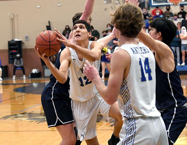 Tivy falls to Champion in dog fight; A gauntlet of teams on the horizon ...