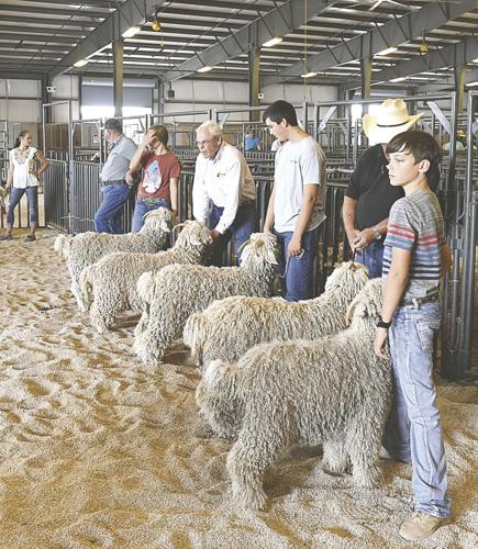 Goats, raisers in town for 100th show, sale | News | dailytimes.com