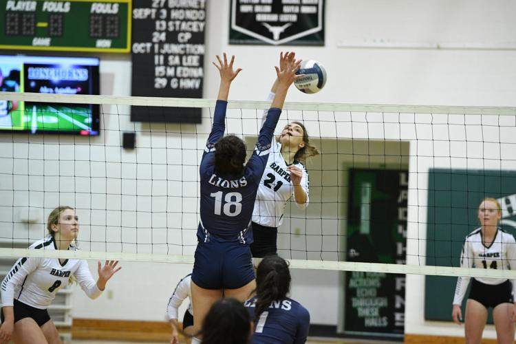Lumpkins earns 500th victory as Harper volleyball rolls | Sports ...