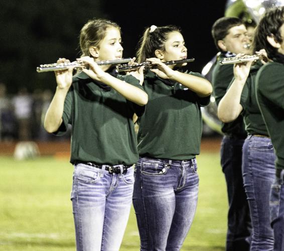 Photo gallery: Harper band performs at halftime | Multimedia ...