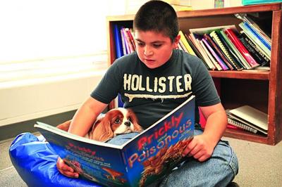 Sit! Stay! Read! | News | dailytimes.com