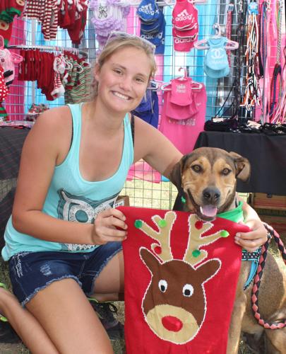 Bark for life: Dogs and their owners raise money for cancer awareness ...