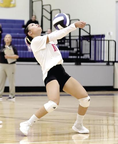 Comfort Lady Deer down Florence Buffaloes in 3 sets | Sports ...