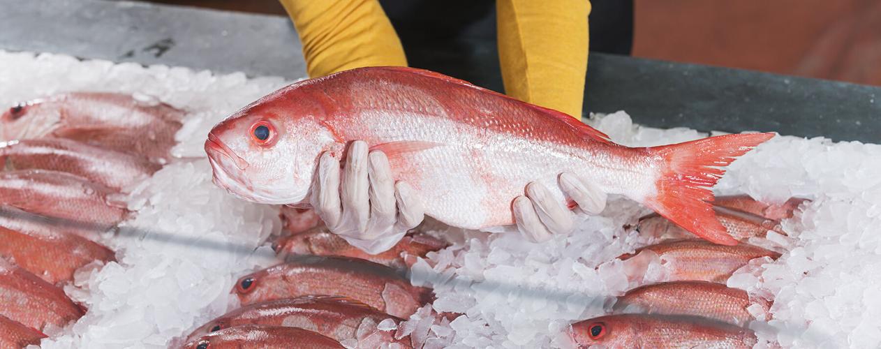 Seeing red(s): Snapper season in federal waters closes Nov 21 ...