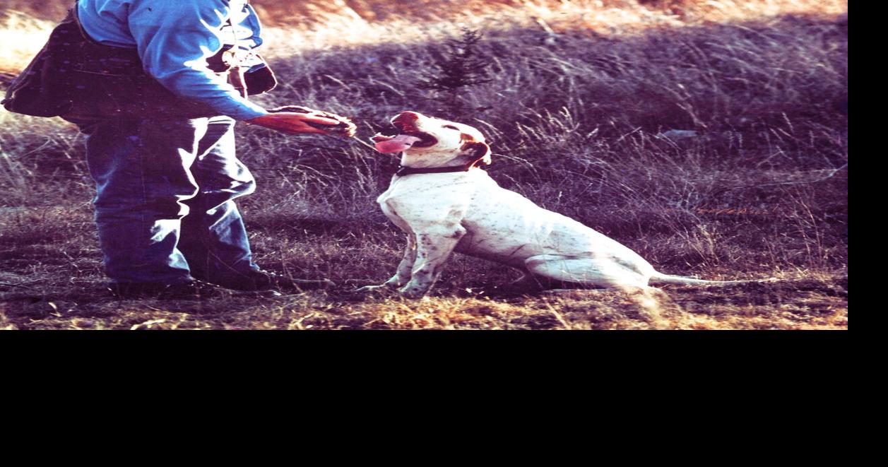 Texas bids farewell to legendary wildlife biologist and outdoor writer ...