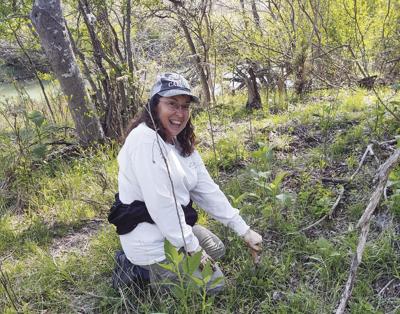 Speaker has tips on reducing lawns, feeding pollinators | Lifestyles ...