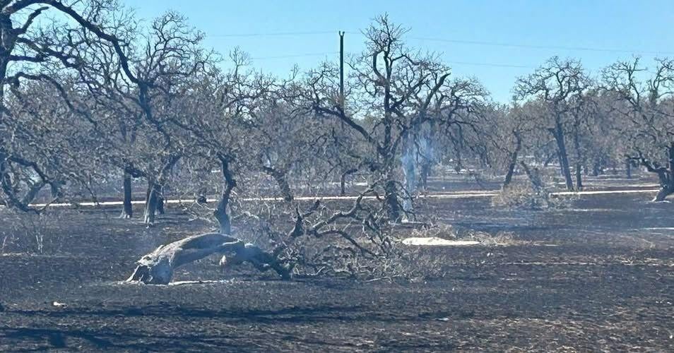 Fire rages across Gillespie County | News | dailytimes.com