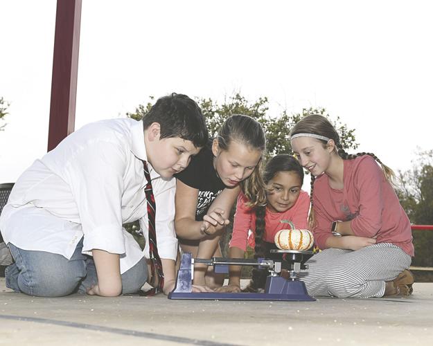 Spooky science | News | dailytimes.com