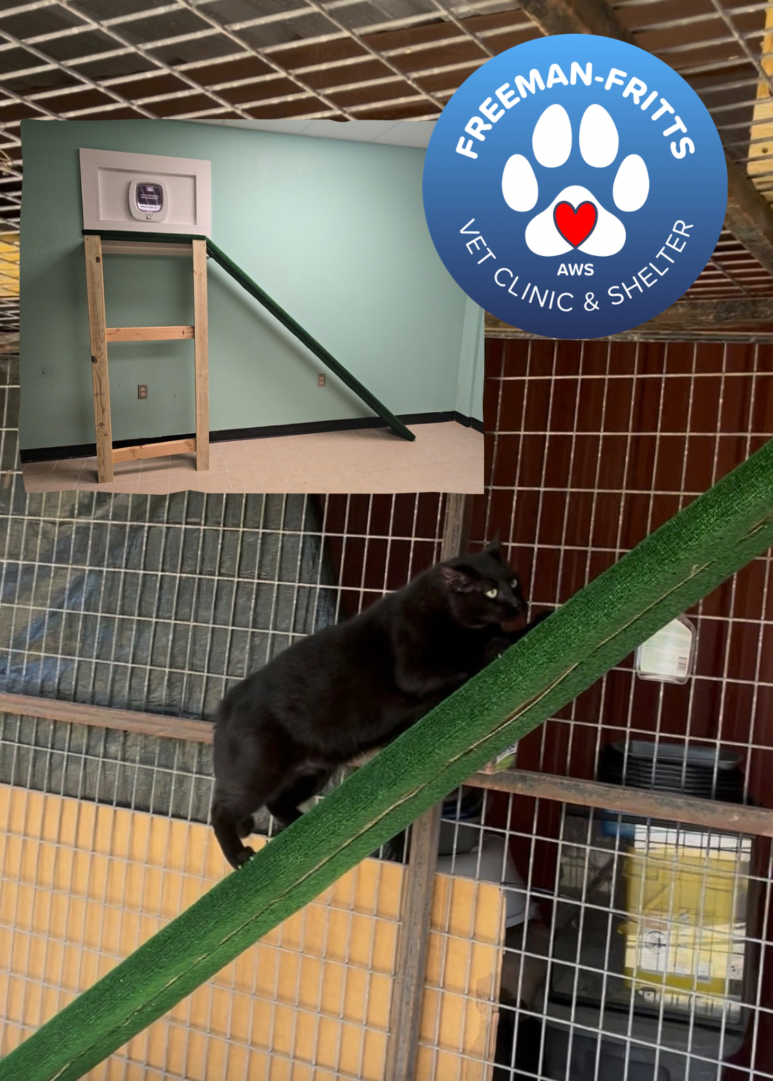 Kimmie’s Korner: Freeman-Fritts Unveils New Outdoor Catio | Columnists ...