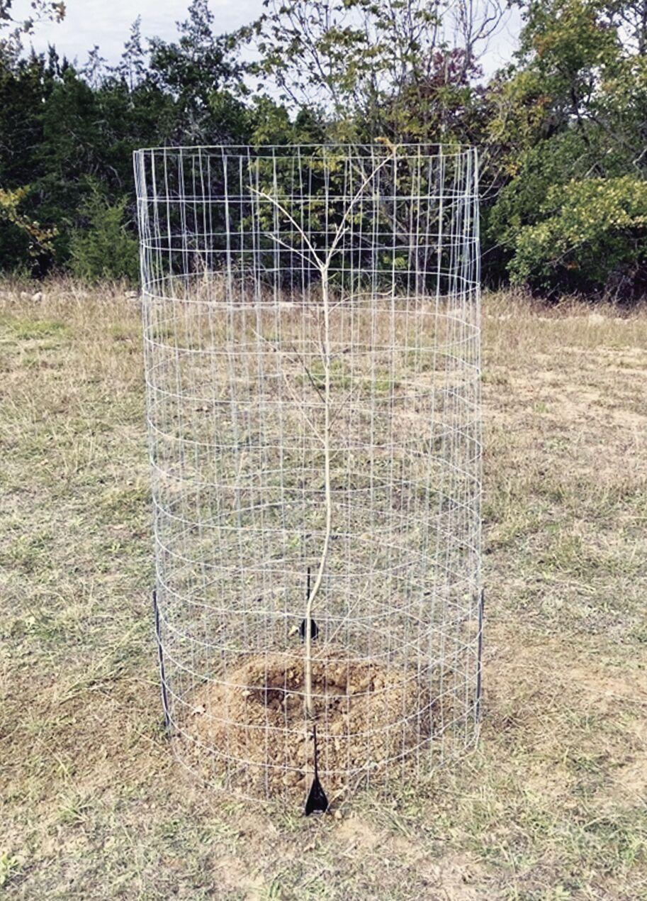 Apache Corporation donates native trees to Texas Master Naturalist ...