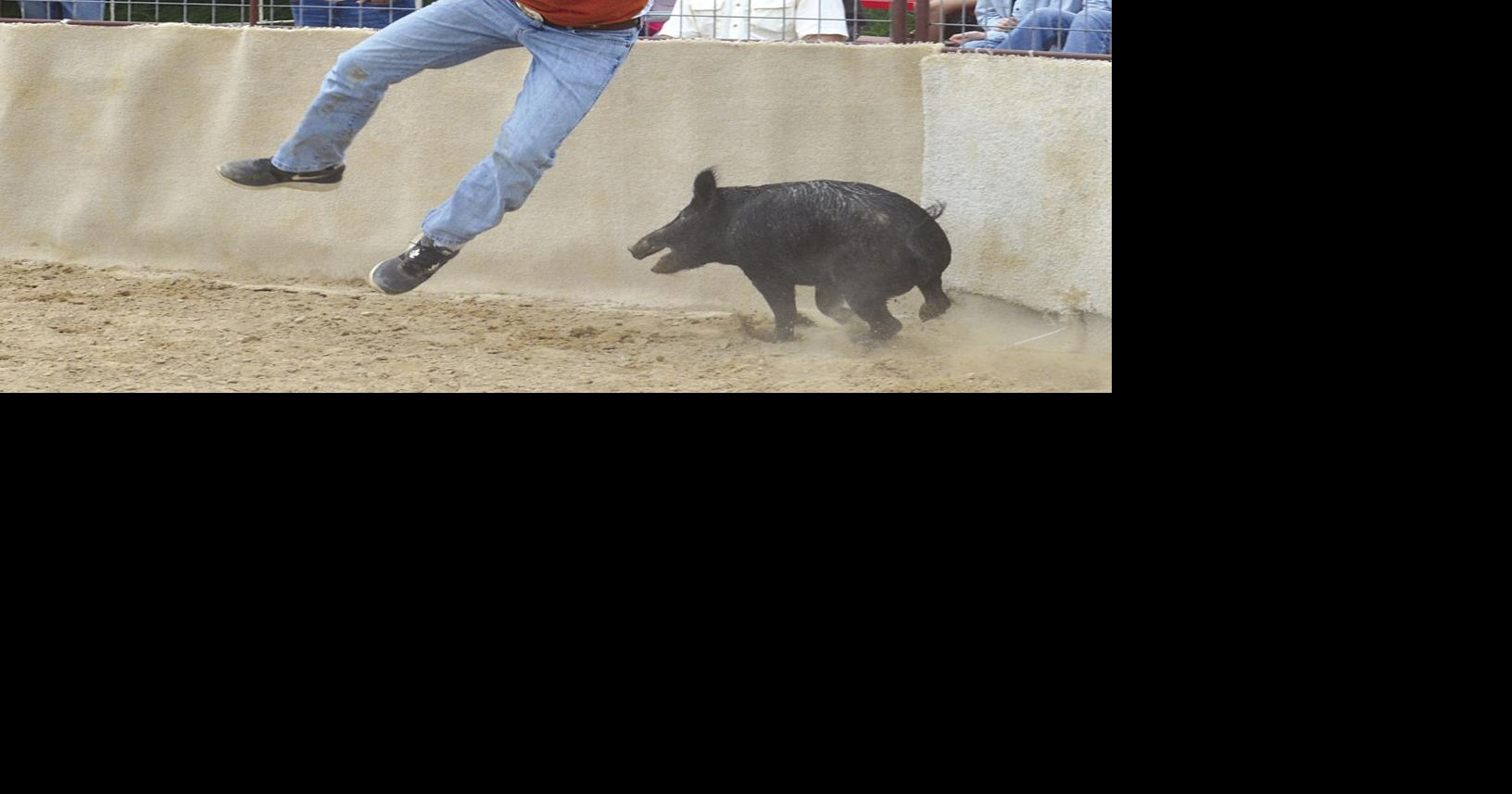 Wild Hog Explosion to benefit Bandera library | Local News | dailytimes.com